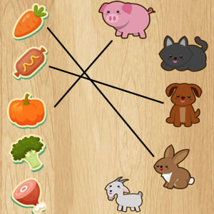 COKOGAMES | Educational Games for Kids and Adults