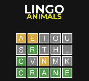 lingo-animals – COKOGAMES